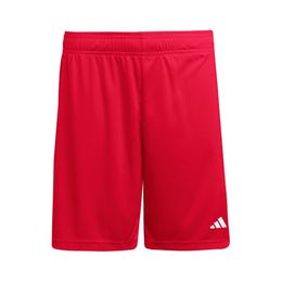 adidas Performance Sportshorts 'ENT26' Jungen Gr&ouml;&szlig;e 140 blutrot / wei&szlig;