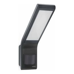 Steinel Sensor-LED-Strahler XLED SLIM anth (012052)