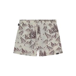 Pockies Boxer shorts male Grey size L