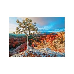 Eurographics Winter Sunrise (Puzzle) | Gr.: onesize