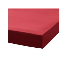 Traumschlaf Spannbettlaken Premium Interlock in weinrot | Gr.: 90x200 cm - 100x200 cm