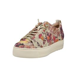 Paul Green Sneaker in Beige | Gr.: 40,5