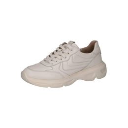 Caprice Sneaker in Vanilla | Gr.: 37