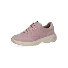 Caprice Sneaker in Rose | Gr.: 36
