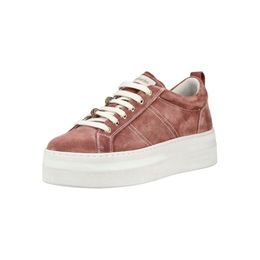 Nero Giardini Sneaker in Rosa | Gr.: 36