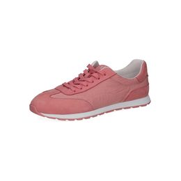 Caprice Sneaker in Pink | Gr.: 38