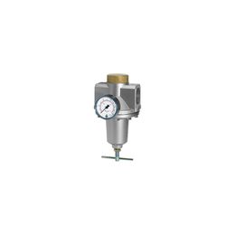 Riegler Druckregler &raquo;Standard&laquo;, inkl. Mano., BG 4, G 1 1/2, 0,1 - 3 bar (637.55 A)