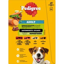 Pedigree Nassfutter Hund gemischte Selektion in Sauce, Multipack (12x100 g)