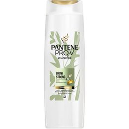 Pantene Pro-V Shampoo miracles Grow Strong