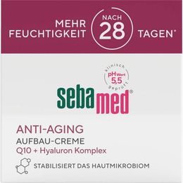 Sebamed Anti Aging Gesichtscreme Q10 Aufbau