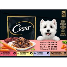 CESAR Nassfutter Hund Selection in Sauce, Multipack (24x100 g)