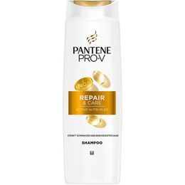 Pantene Pro-V Shampoo Repair & Care XXL