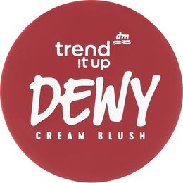 trend !t up Blush Dewy Cream 040