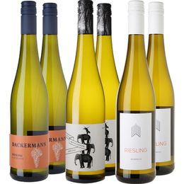 Wirwinzer Select Entdecker-Paket Riesling 2024 Trocken - Verschiedene Regionen &ndash; Probierpaket Qualit&auml;tswein