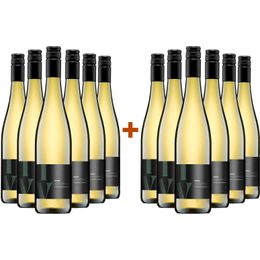 Weingut Franz 6+6 Paket Civinus Chardonnay & Wei&szlig;burgunder 2024 Trocken - Rheinhessen &ndash; Probierpaket Qualit&auml;tswein