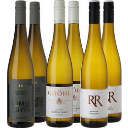 Wirwinzer Select Premium-Paket Riesling 2024 Trocken - Verschiedene Regionen &ndash; Probierpaket Qualit&auml;tswein