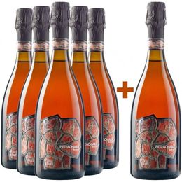 Pezzuoli 5+1 Paket Pietrachiara Ros&eacute; Lambrusco di Sorbara 2025 Brut - Emilia Romagna &ndash; Probierpaket DOC