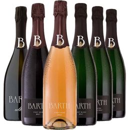 Wein- und Sektgut Barth Gro&szlig;es VDP Sekt- BIO - Rheingau &ndash; Probierpaket Diverse