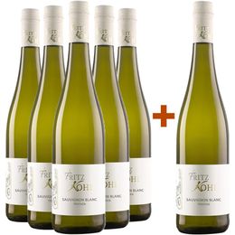 Weingut Fritz Kohl 5+1 Paket Sauvignon Blanc 2024 Trocken - Pfalz &ndash; Probierpaket Qualit&auml;tswein
