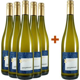 Weingut Zehnthof Kruger 5+1 Paket Sauvignon Blanc 2025 Trocken - Nahe &ndash; Probierpaket Qualit&auml;tswein