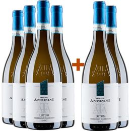 Tenuta Antonini Alessio 4+2 Paket Lutum d'Abruzzo Trebbiano 2025 Trocken - Abruzzen &ndash; Probierpaket DOC