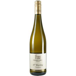 Weingut Burghof Oswald Guntersblumer 67&deg; Riesling 2025 Trocken - Kreuz Kapelle Rheinhessen &ndash; Wei&szlig;wein Sp&auml;tlese