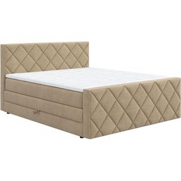 Boxspringbett COTTA, B:161cm L:228cmsand, keder: beige, 100% POLYESTER (PES), Komplettbetten, "Tower inkl. Bettkasten, mit Keder in abgesetzter