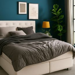 Microfaserbettdecke + Microfaserkissen OTTO HOME, grau, Bezug: 100% Polyester. F&uuml;llung: 100% Polyester, Bettwaren-Sets, "Clarra Spar Set, Decke +