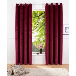 Vorhang OTTO HOME, B:140cm H:145cm, rot, Polyester, Polyester, Wohnzimmer, Gardinen, "Velvet Uni", Blickdichter Samt, 2-er Set, edel, Gardine,