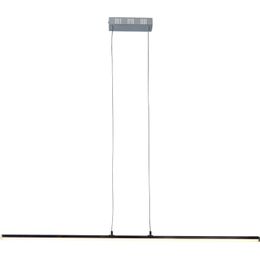 N&auml;ve N&Auml;VE LED Pendelleuchte "Beam", grau (chromfarben), 1, H: 1,2cm, Leuchten, LED H&auml;ngelampe, dimmbar, incl. Trafo, LED Pendelleuchte