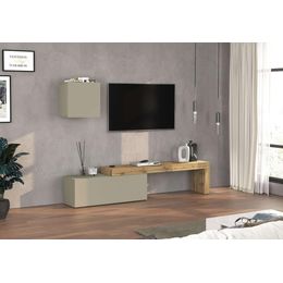 TV-Wand OTTO HOME "Chronos TV-Set, Wohnwand &ndash; Elemente frei platzierbar, Made in Italy", taube, eiche wotan, B:240cm H:190cm T:40cm, Kastenm&ouml;bel-Sets, TV-Wand, Lowboard Breite 240 cm, H&auml;ngeschrank Breite 50 cm, Made in Italy