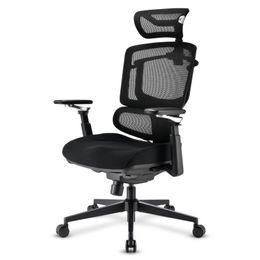 Sharkoon Stuhl OfficePal C50 schwarz