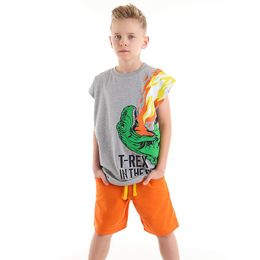 Denokids 2tlg. Outfit "T-Rex" in Grau/ Orange - 70% | Gr&ouml;&szlig;e 116 | Kinder-oberteile