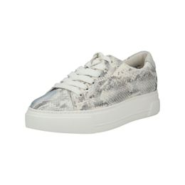 Paul Green Damen Plateausneaker &raquo; Sneaker Glattleder&laquo; 36