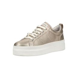 Nero Giardini Sneaker in Champagner | Gr.: 39