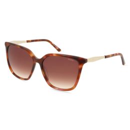 Mexx Eyes 6573 | Damen-Sonnenbrille | Fassung: Vollrand, Eckig, Kunststoff, Havanna Rose | Glasfarbe: Braun