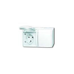 BUSCH-JAEGER Schuko-Steckdose 2f. mit Klappdeckel 20/2 EW-54 (2CKA002084A0711)