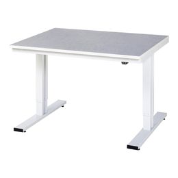 Rau Werktisch adlatus 300 elektrisch h&ouml;henverstellbar Linoleum-/Universal-Platte 1250 mm x 1000 mm (08-WT-125-100-L)