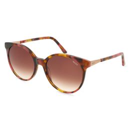Mexx Eyes 6595 | Damen-Sonnenbrille | Fassung: Vollrand, Panto, Kunststoff, Braun Rose | Glasfarbe: Braun