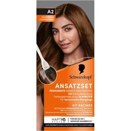 Schwarzkopf Ansatzset A2 Goldbraun