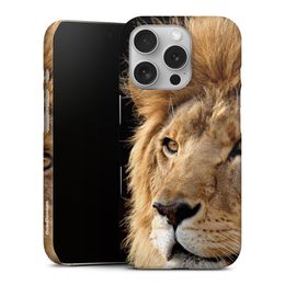 DeinDesign iPhone 16 Pro Handy Premium Case Smartphone Handyh&uuml;lle Schutzh&uuml;lle matt Jungle Lion Photography Premium Case