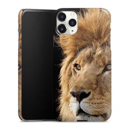 DeinDesign iPhone 11 Pro Max Handy Premium Case Smartphone Handyh&uuml;lle Schutzh&uuml;lle gl&auml;nzend Jungle Lion Photography Premium Case