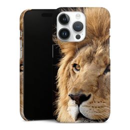 DeinDesign iPhone 14 Pro Handy Premium Case Smartphone Handyh&uuml;lle Schutzh&uuml;lle matt Jungle Lion Photography Premium Case