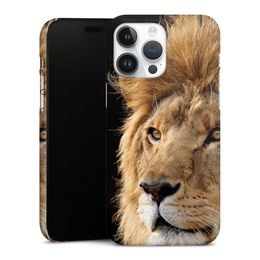 DeinDesign iPhone 14 Pro Max Handy Premium Case Smartphone Handyh&uuml;lle Schutzh&uuml;lle matt Jungle Lion Photography Premium Case