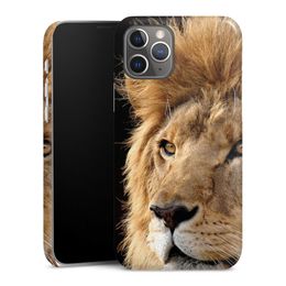 DeinDesign iPhone 12 Pro Handy Premium Case Smartphone Handyh&uuml;lle Schutzh&uuml;lle gl&auml;nzend Jungle Lion Photography Premium Case