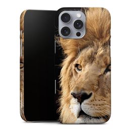 DeinDesign iPhone 16 Pro Max Handy Premium Case Smartphone Handyh&uuml;lle Schutzh&uuml;lle gl&auml;nzend Jungle Lion Photography Premium Case
