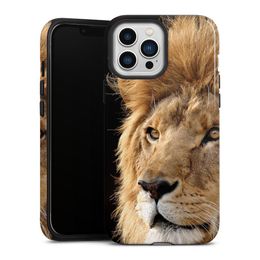 DeinDesign iPhone 13 Pro Max Handy Panzer Handyh&uuml;lle robuste Outdoor H&uuml;lle Schutzh&uuml;lle gl&auml;nzend Jungle Lion Photography Tough Case