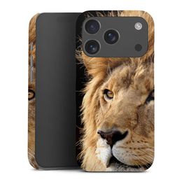 DeinDesign iPhone 17 Pro Handy Premium Case Smartphone Handyh&uuml;lle Schutzh&uuml;lle gl&auml;nzend Jungle Lion Photography Premium Case