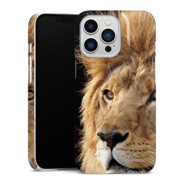 DeinDesign iPhone 13 Pro Handy Premium Case Smartphone Handyh&uuml;lle Schutzh&uuml;lle gl&auml;nzend Jungle Lion Photography Premium Case