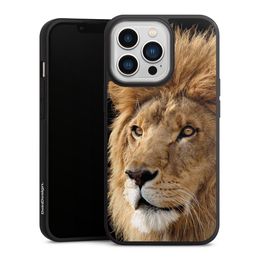 DeinDesign iPhone 13 Pro Handy Premium Silikon H&uuml;lle Handyh&uuml;lle schwarz Case Jungle Lion Photography Silikon Premium Case